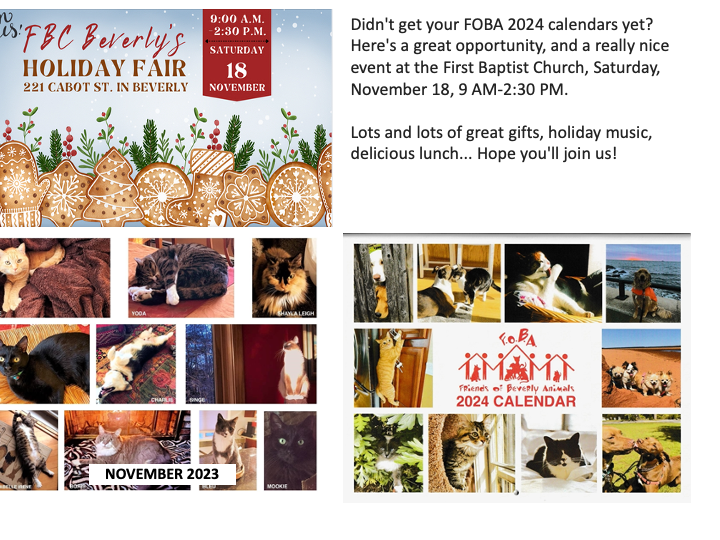 fbc-fair-2024-new.png